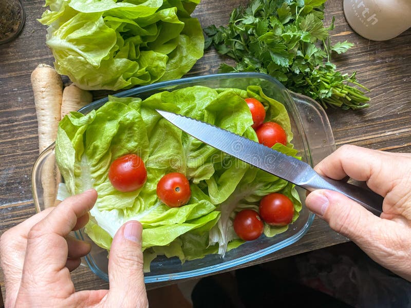 Preparing vegetable salad stock photo. Image of knife - 259275730