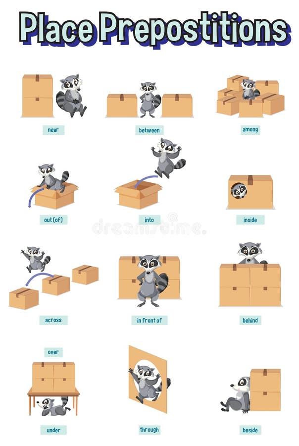 Preposition Wordcard with Raccoon and Box Stock Vector - Illustration ...