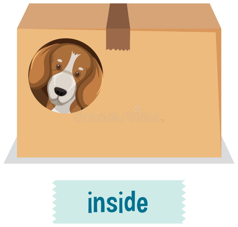 Prepostion Wordcard Design with Dog Inside Box Stock Vector ...