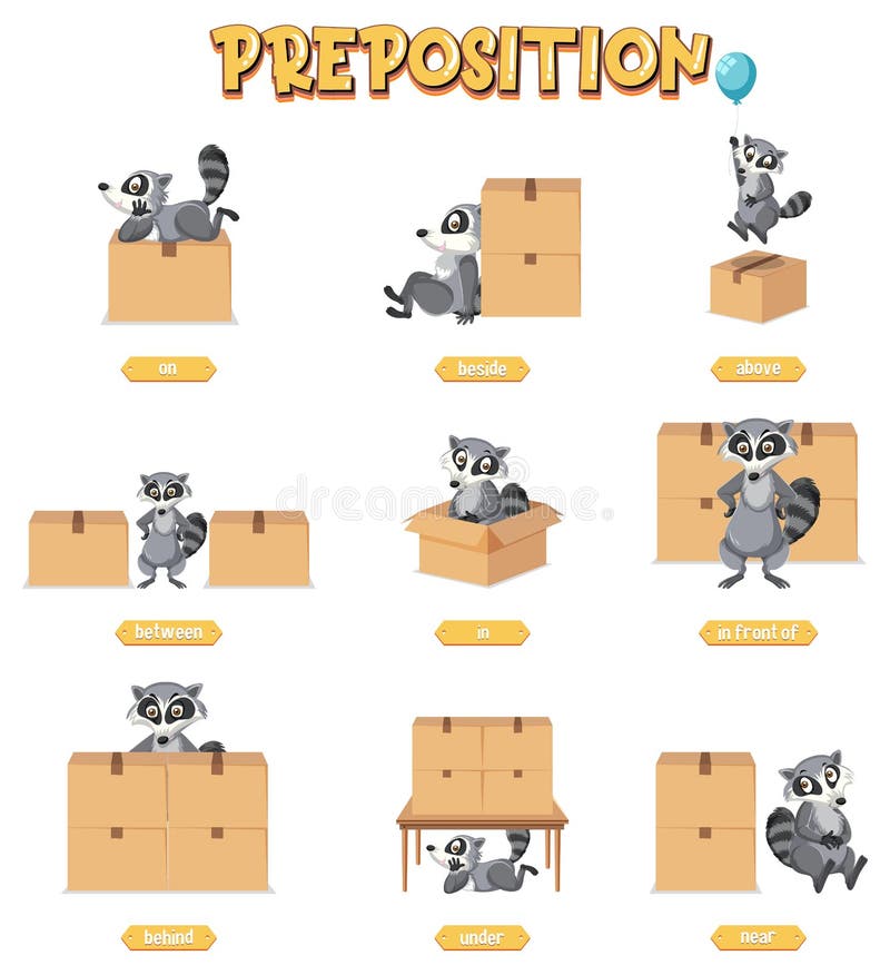 Prepostion Wordcard Design with Raccoon and Boxes Stock Vector ...