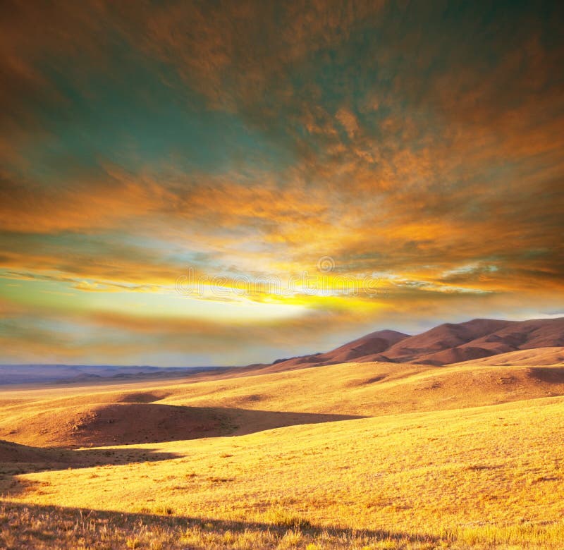 Preria obraz stock. Obraz złożonej z lato, opustoszały - 132053931