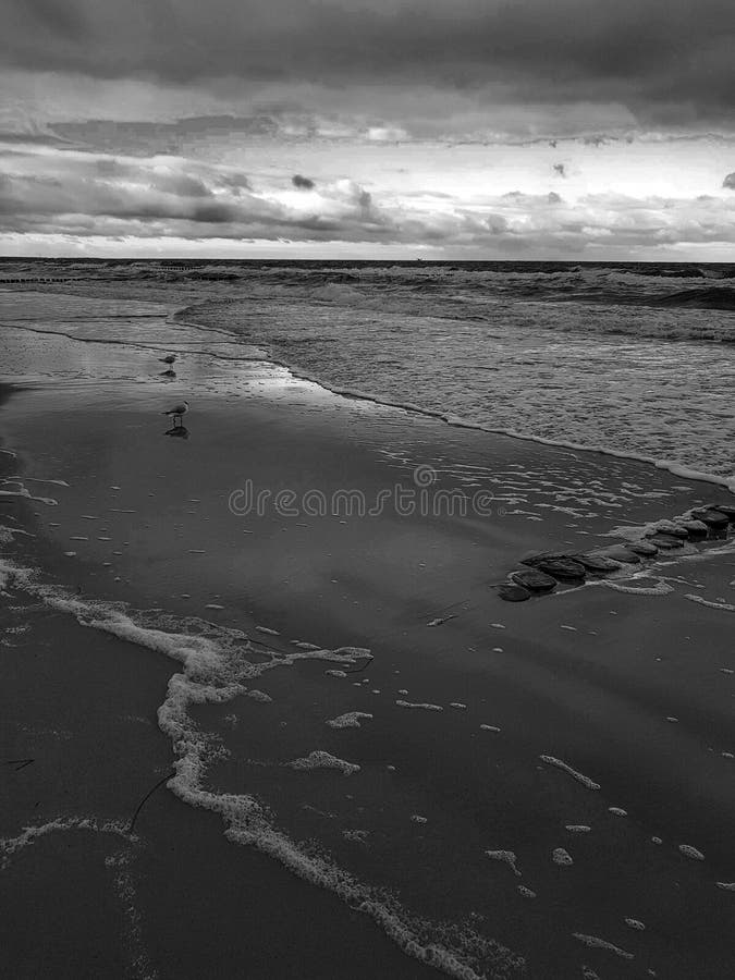 Prerow beach. stock photo. Image of prerow, beach, nature - 154498020