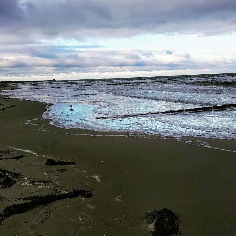 Prerow stock photo. Image of waves, coast, ocean, prerow - 154497734