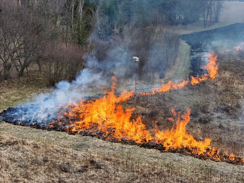 Prescribed Burn Fire for Prairie Management Stock Image - Image of heat ...