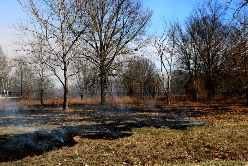 Prescribed Burn stock photo. Image of formation, fire - 68460552