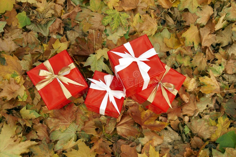 Present stock photo. Image of autumn, fall, foliage, packing - 11432680