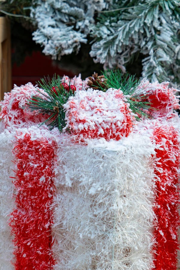Present Box and Christmas Tree in the Outdoor at Vertical Composition ...