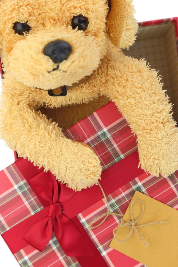 Present box with cute dog stock photo. Image of cute - 35050652