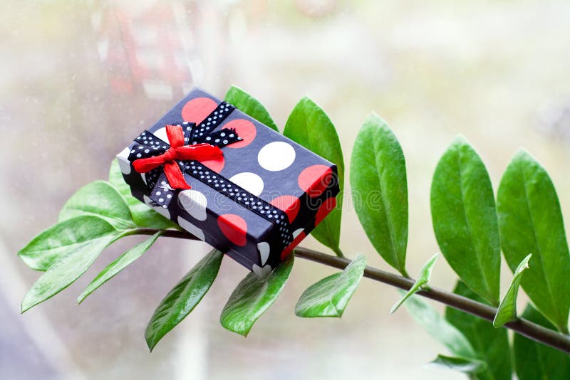 Present Box on Green Leaves Stock Photo - Image of close, love: 48378076