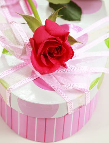 Present box and rose stock photo. Image of birthday, occasion - 7415272