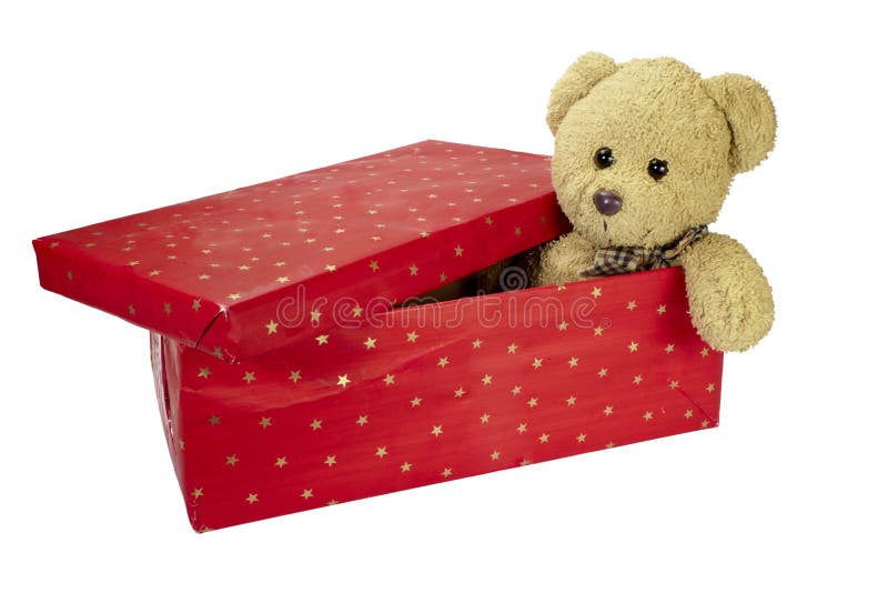 Teddy Bear Inside a Box stock photo. Image of object, decoration - 249830