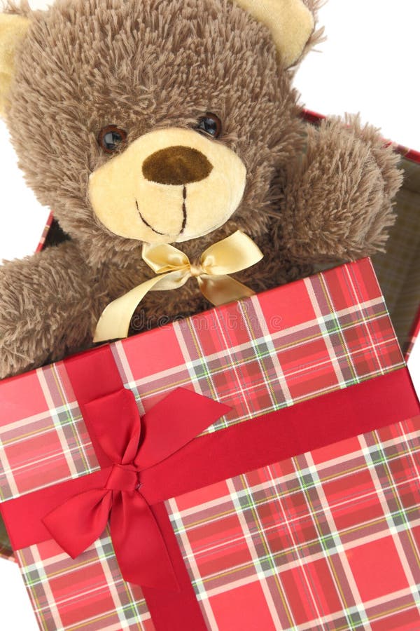 Teddy Bear Inside a Box stock photo. Image of object, decoration - 249830