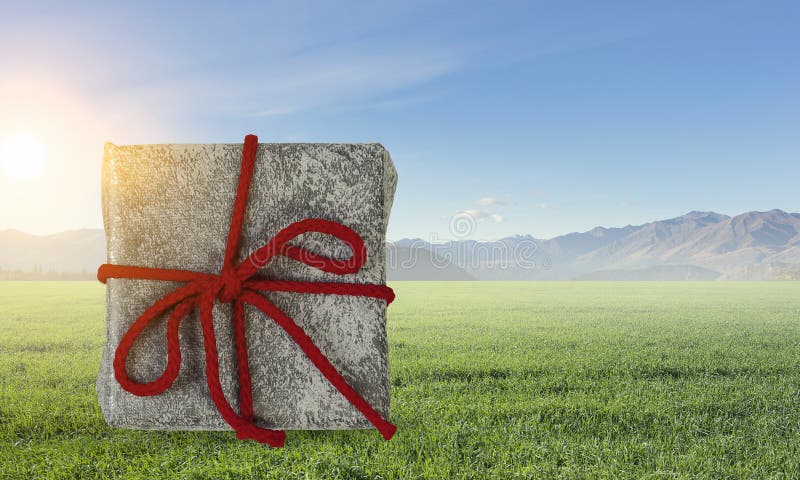 Present pretty box stock photo. Image of packaging, event - 101249504