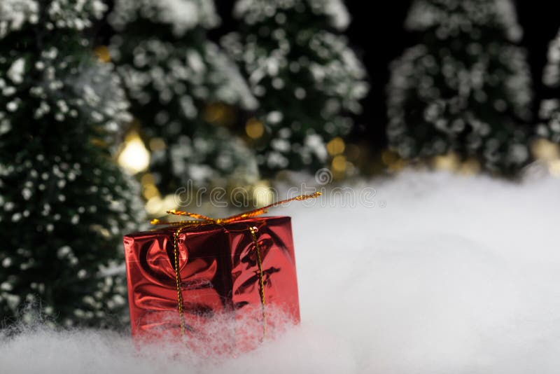 Present in Wrapped Gift Box in Forest Stock Photo - Image of christmas ...