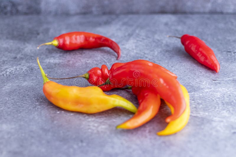 Presentation of the Peruvian Red Hot Chili in a Colored Plate Stock ...