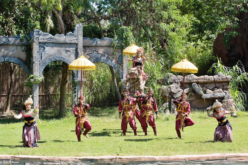 Presentation Queen Tiger, in Bali, Indonesia Editorial Stock Image ...