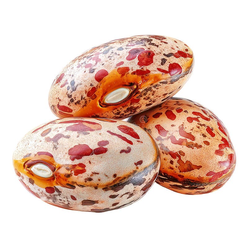 A Close Presentation of Three Speckled Pinto Beans on White Stock ...