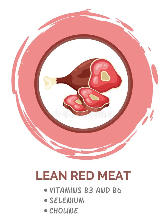 Presentation Template of Lean Red Meat. a Piece of Meat on the Bone and ...