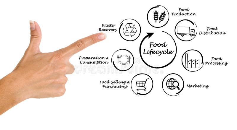Food lifecycle stock photo. Image of waste, life, recovery - 100748646