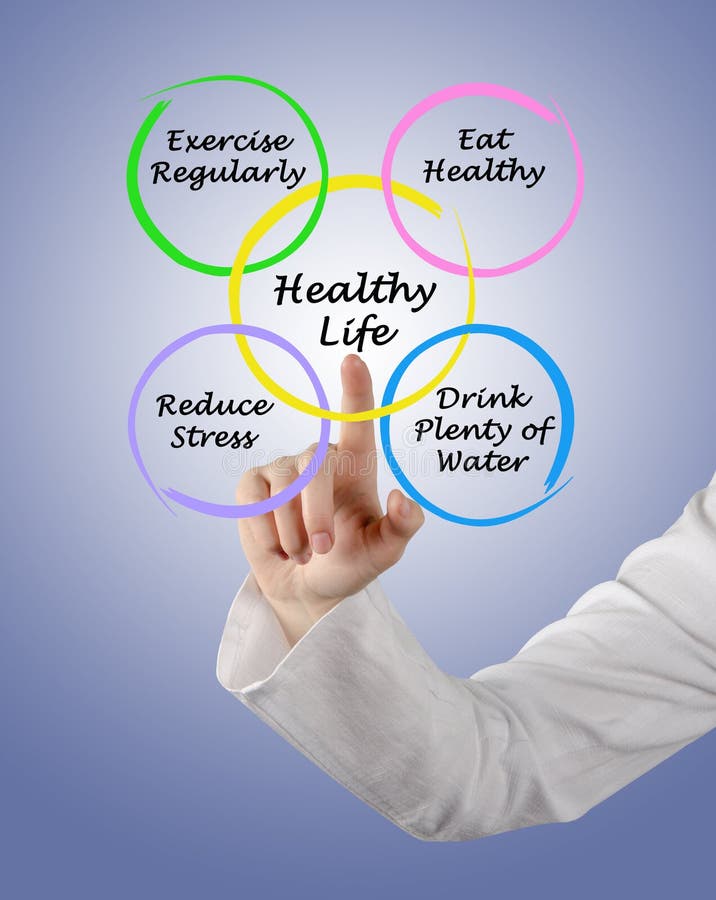 Diagram of healthy life stock image. Image of person - 85665217