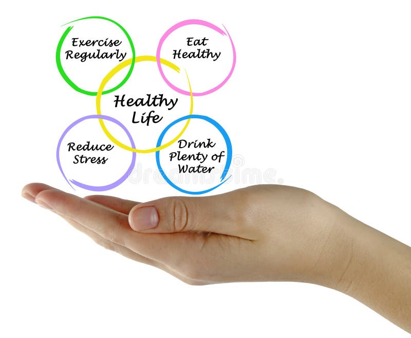 Diagram of healthy life stock image. Image of expert - 246900367
