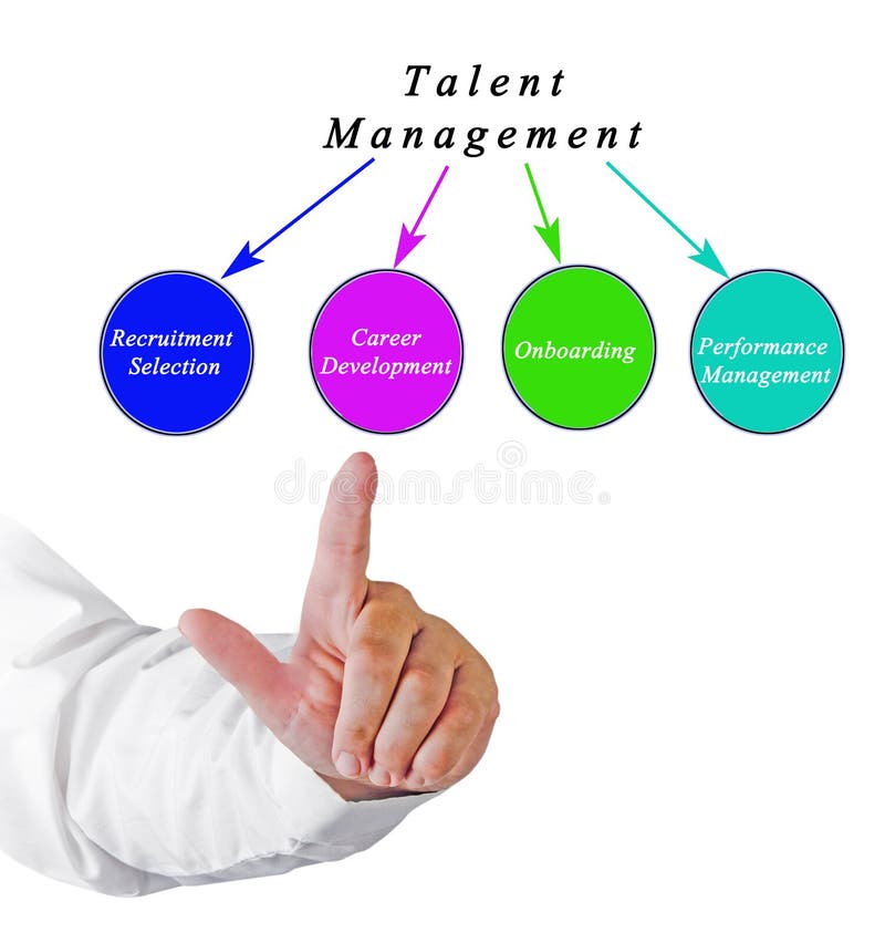Diagram of Talent Management Stock Photo - Image of screen, management ...