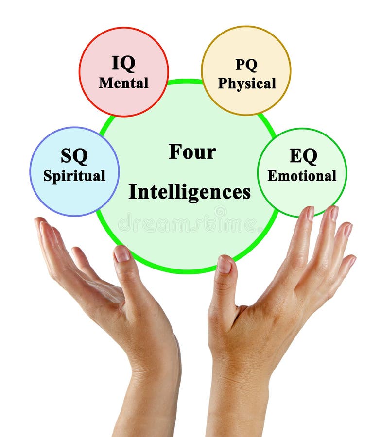 Four types of beans stock photo. Image of grain, chick - 14688130