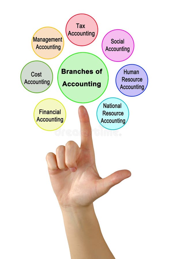 Seven Branches of Accounting Stock Image - Image of finger, management ...
