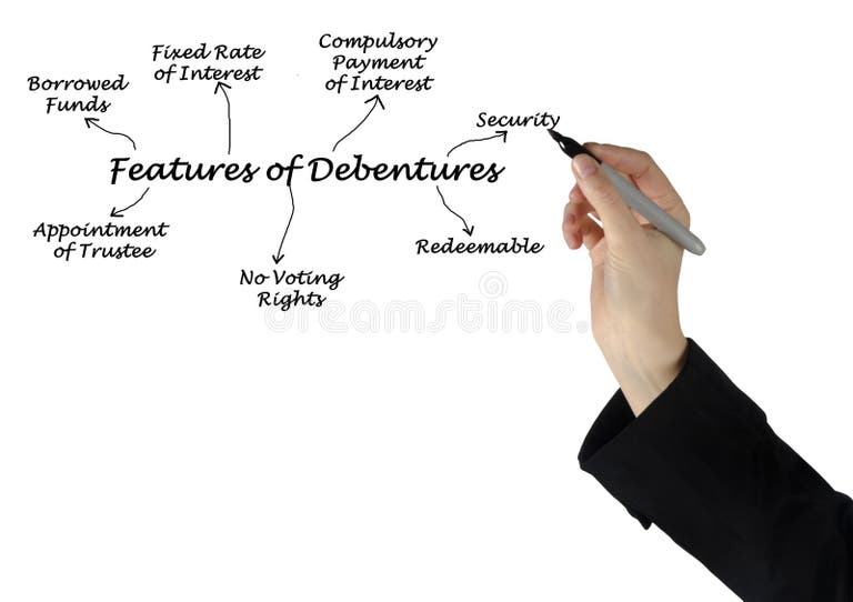Seven Features of Debentures Stock Photo - Image of diagram, drawing ...