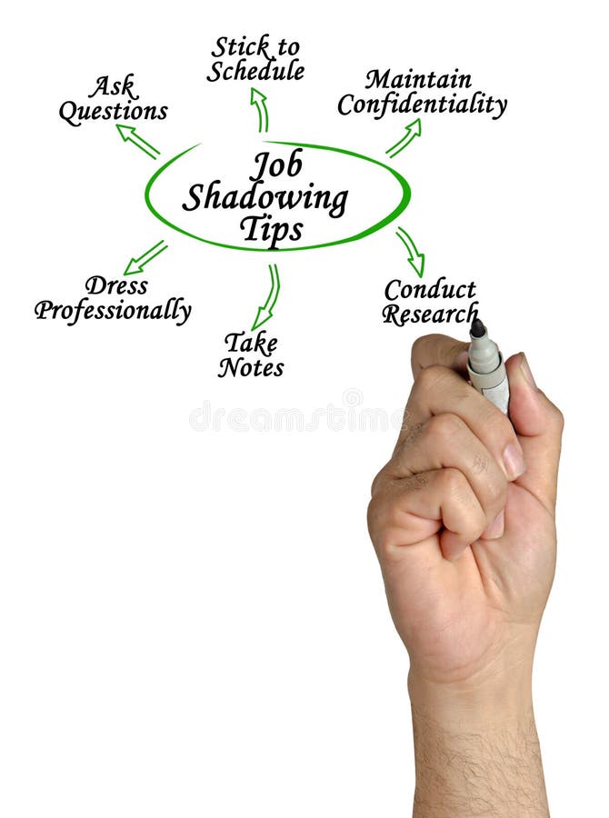Six Job Shadowing Tips stock photo. Image of presenting - 342507506
