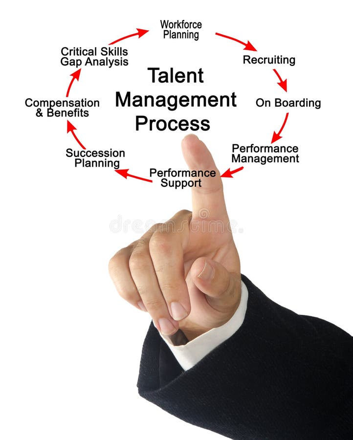 1,271 Talent Management Process Stock Photos - Free & Royalty-Free ...