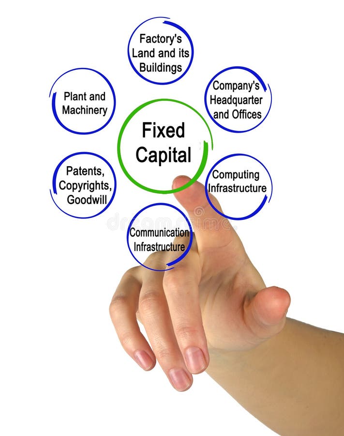 Types of Fixed Capital stock image. Image of plant, 1098 - 125430433