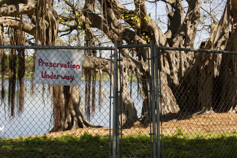 Preservation area stock photo. Image of grass, conservation - 13841212