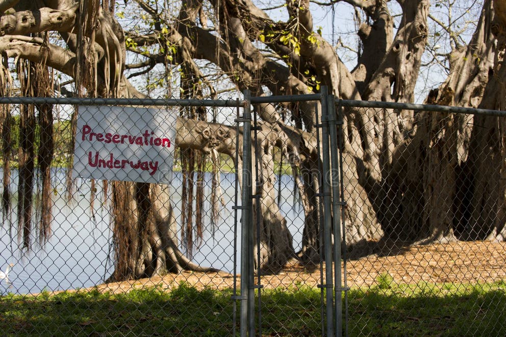 Preservation area stock photo. Image of grass, conservation - 13841212