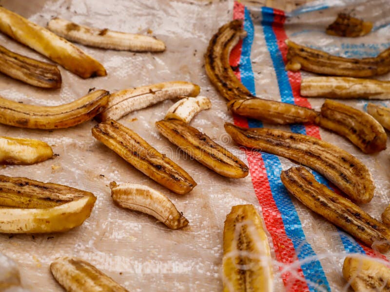 Preservation of Bananas by Drying. Stock Image - Image of produce ...