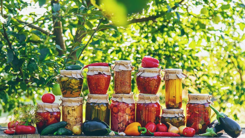 Preservation of Different Kinds in Jars. Selective Focus Stock Photo ...