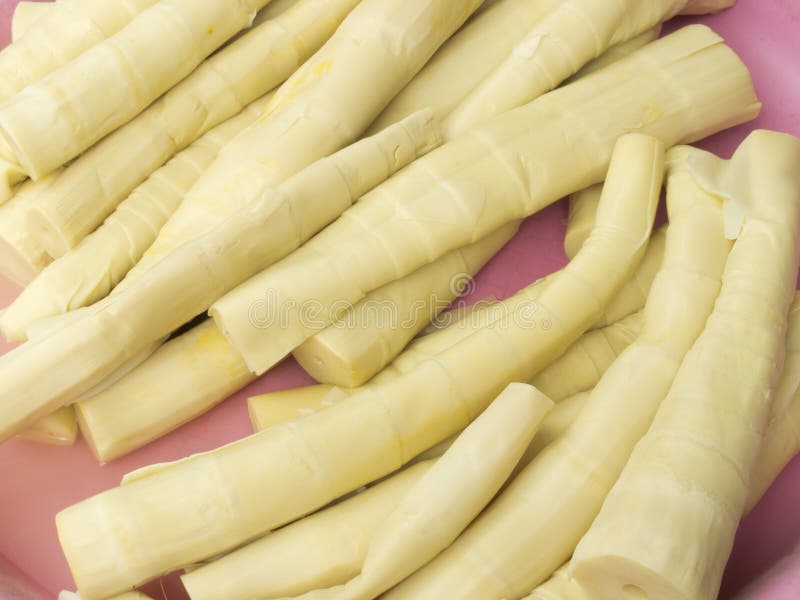 Preserved Bamboo Shoots stock image. Image of thailand - 22424765