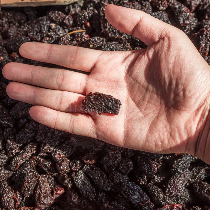 Preserved candyed red date stock image. Image of collection - 27560425