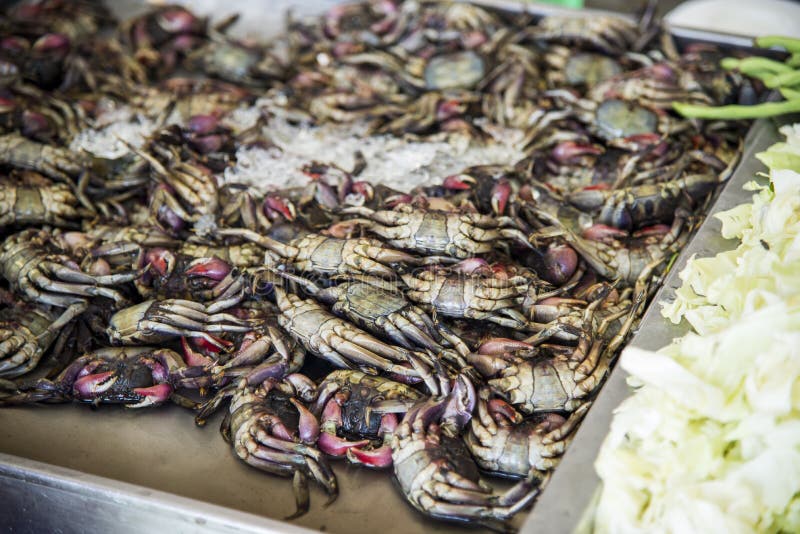 Preserved Crab with Salt for Sale1 Stock Photo - Image of mederi, color ...