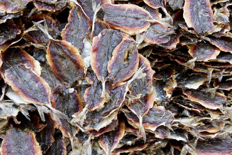 Preserved Fish Stock Images - Download 8,199 Royalty Free Photos