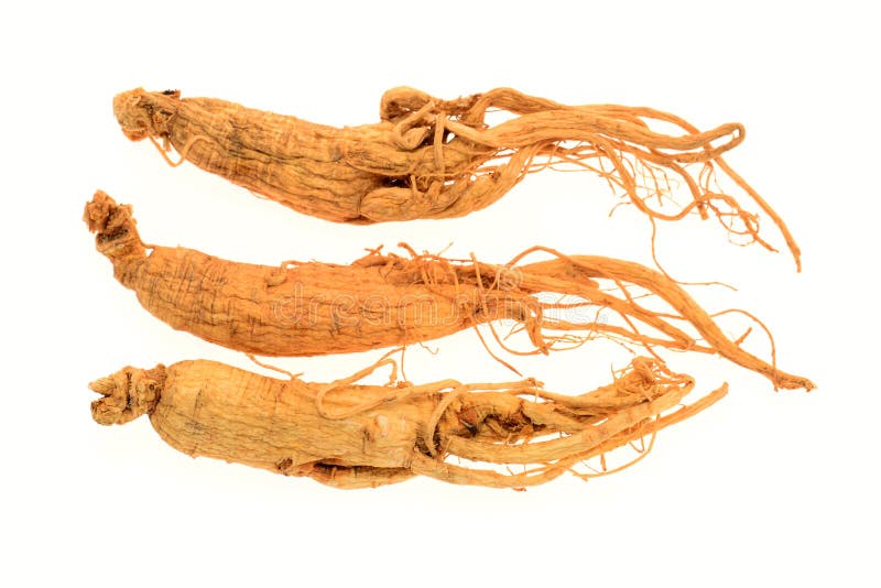 Preserved Ginseng Roots stock image. Image of herbal - 28353623