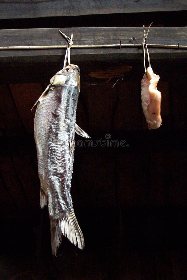 Preserved ham and fish stock photo. Image of tasty, life - 4859292