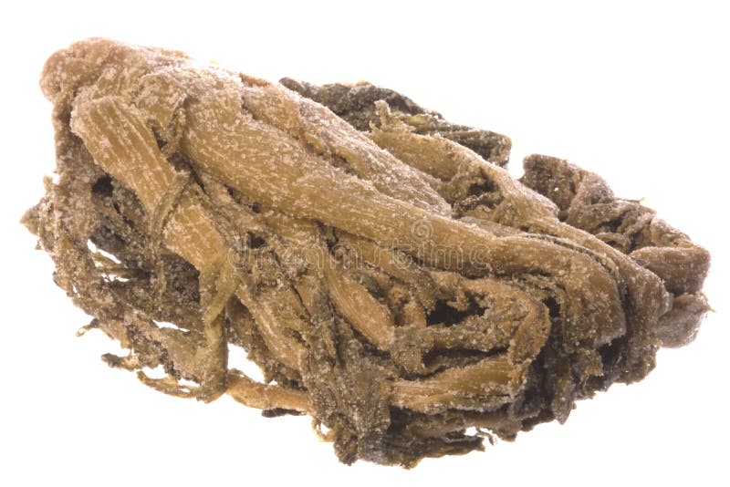 Salted Mustard Root Isolated Stock Image - Image of nutrition, root ...