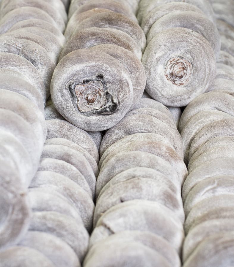 Preserved Persimmon stock photo. Image of dried, sweet - 26767916