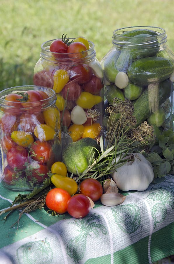 Preserving stock image. Image of marinated, glass, canning - 20766781