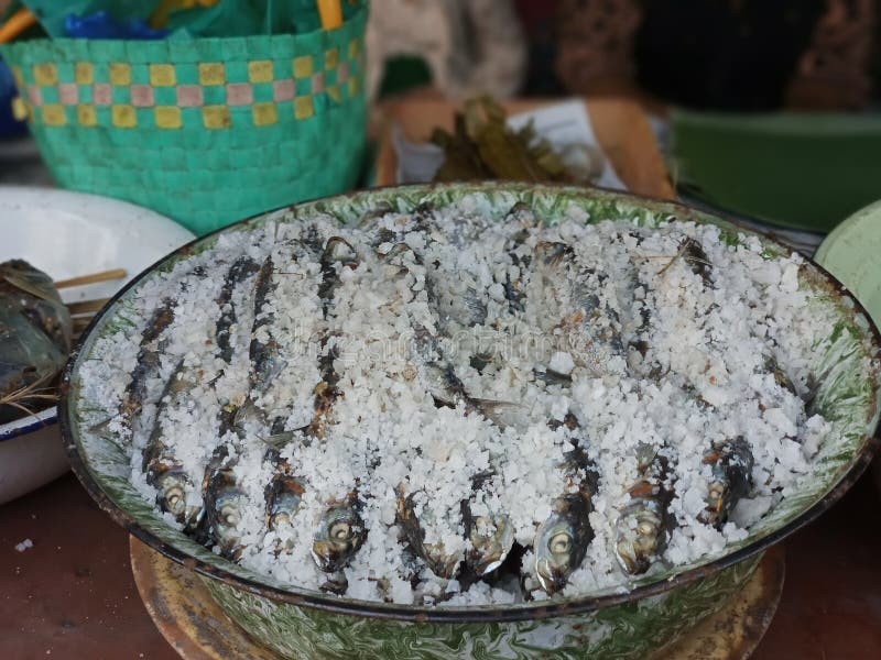 Preserving fish with salt stock image. Image of inhibition - 303675871