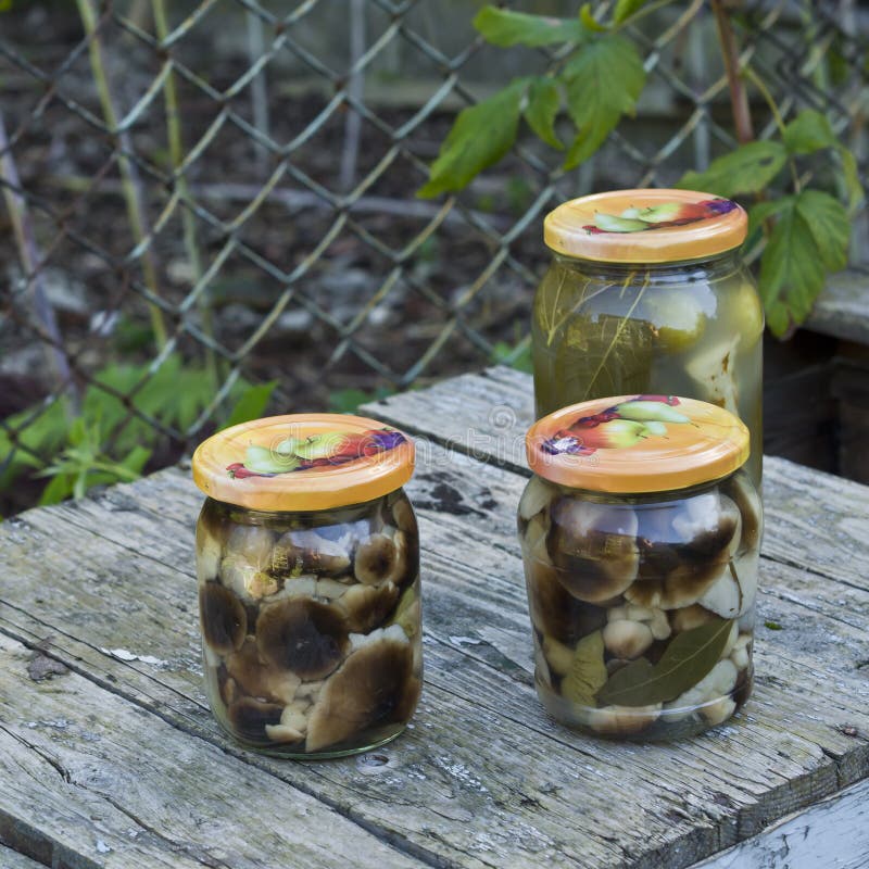Preserving Pickled Cucumbers and Mushrooms. Pickles Jars Stock Photo ...