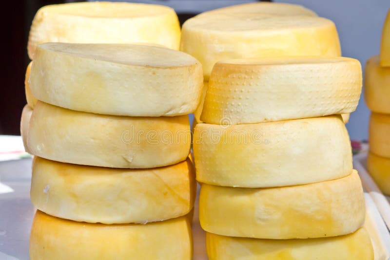 Pressed cheese stock photo. Image of cookery, cheese - 21816324