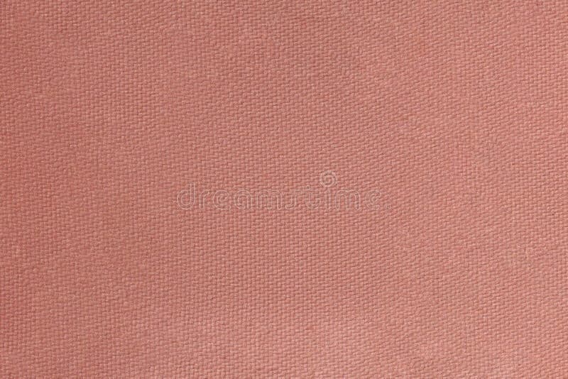 Pressed Eyeshadow Blush Texture Stock Photo - Image of beautiful ...