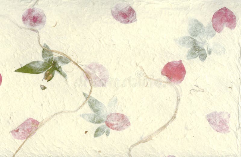Pressed Flower Paper Background Stock Illustration - Illustration of ...